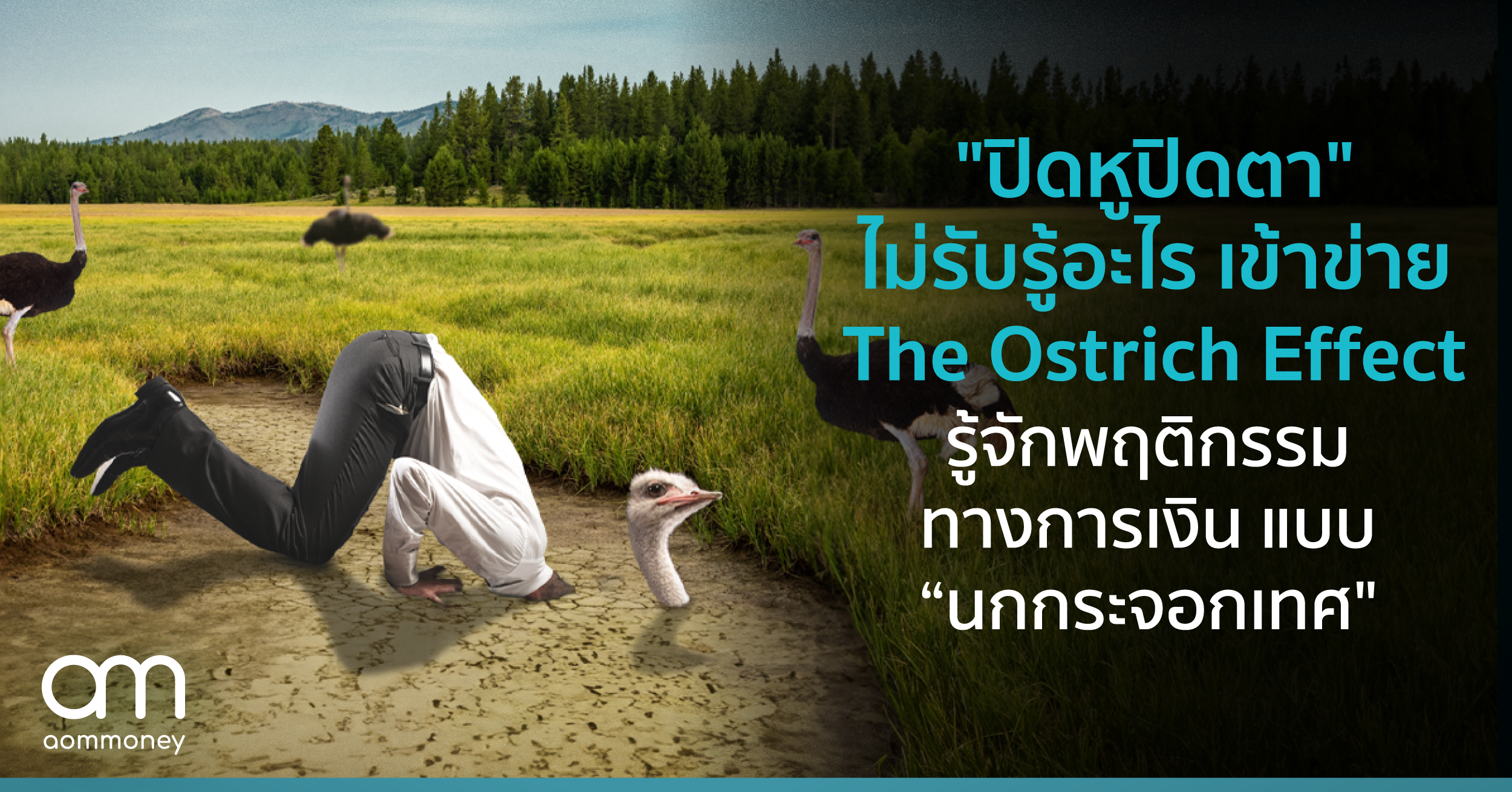 "ปิดหูปิดตา" ไม่รับรู้อะไร เข้าข่าย The Ostrich Effect รู้จักพฤติกรรม ...